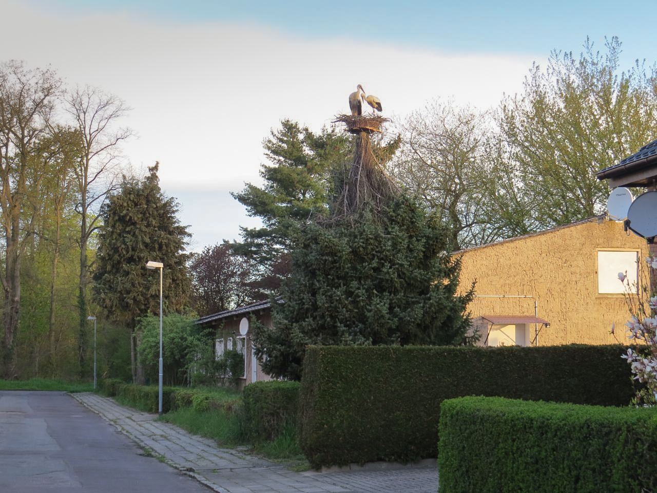 Nobby hat 'ne Freundin - Vogelschutzwarte Storchenhof Loburg e. V.